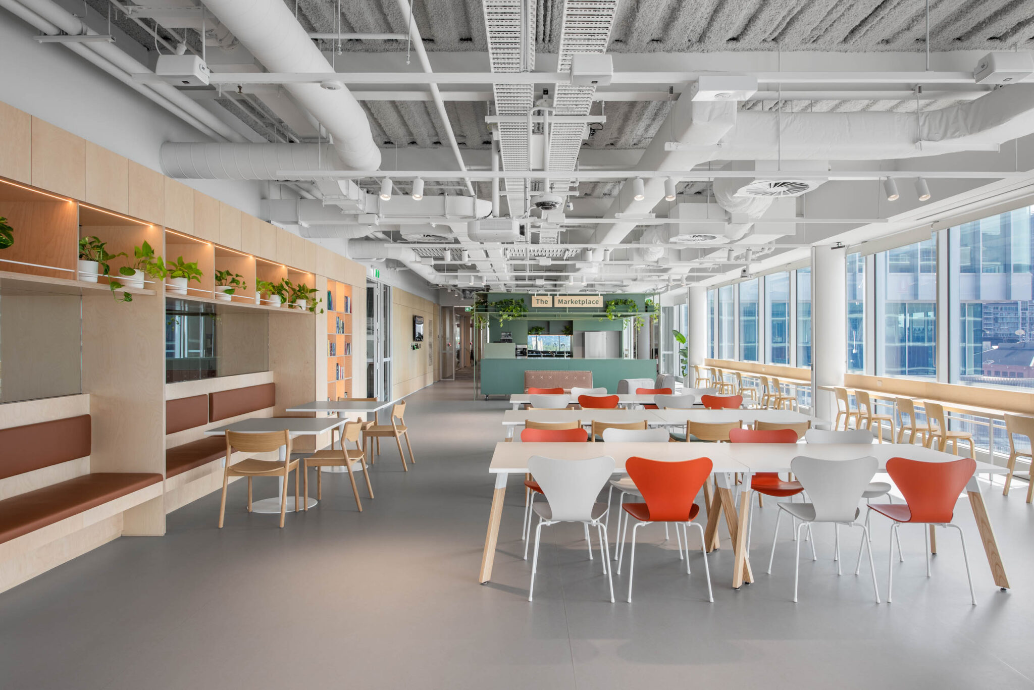 SHAPE Adelaide Office Fitout